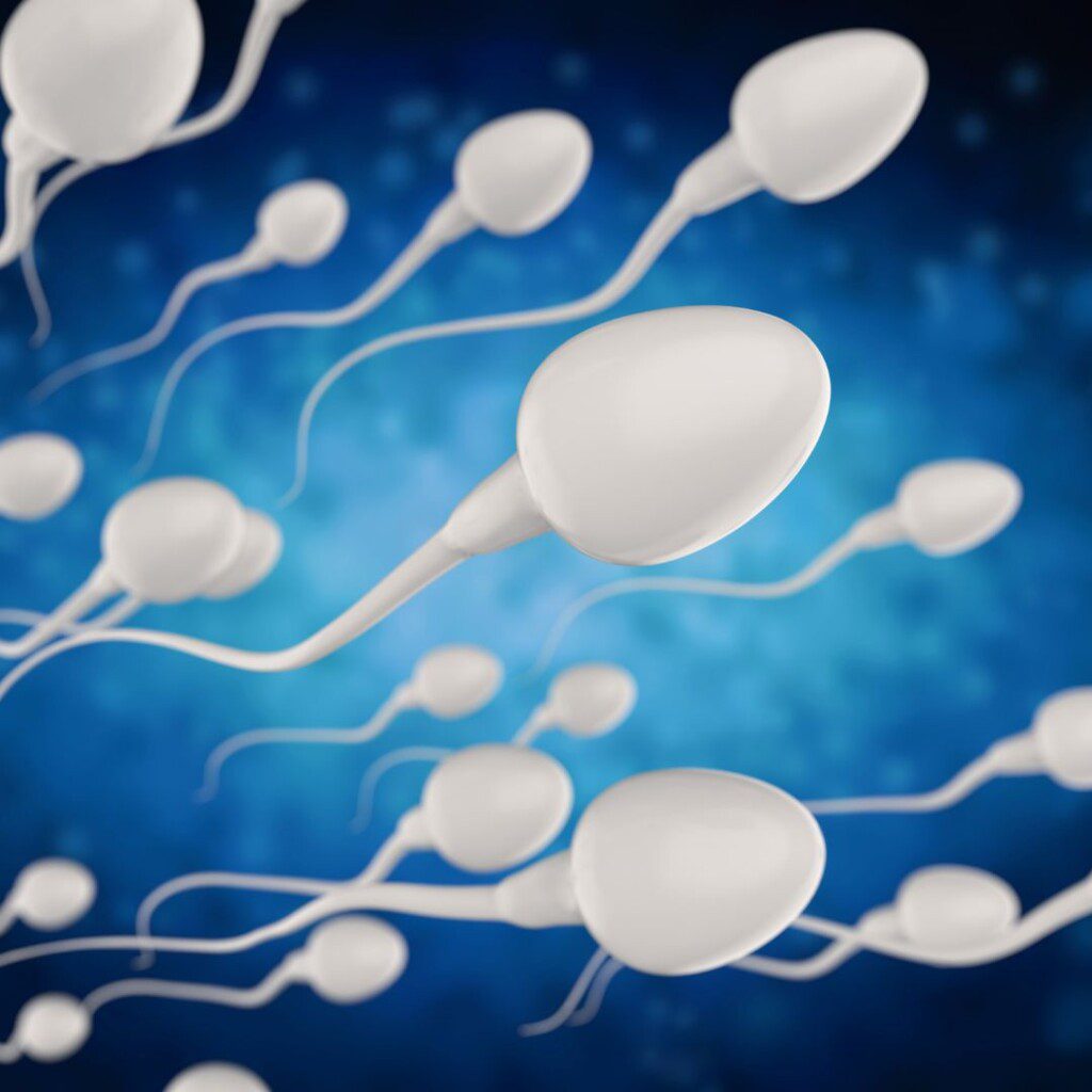 El Recuento De Espermatozoides Se Ha Reducido A La Mitad En Sólo 45